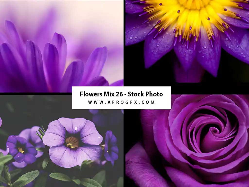 Flowers Mix 26 - Stock Photo - Afrogfx